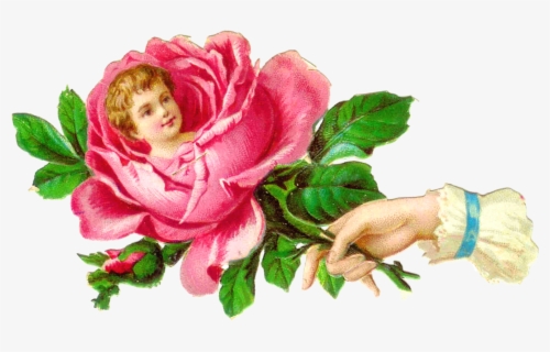 Victorian Rose Clip Art - Transparent Vintage Roses Png , Free ...