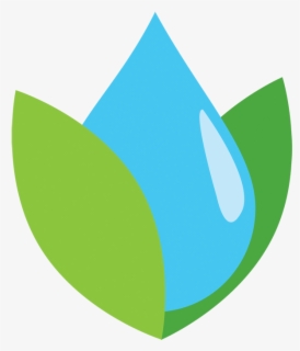 Wse - Graphic Design , Free Transparent Clipart - ClipartKey