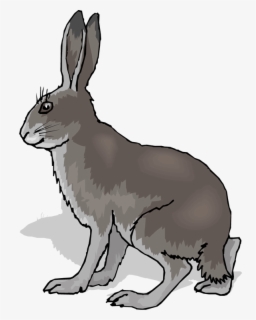 Coney Definition , Free Transparent Clipart - ClipartKey