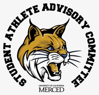 Bobcat Uc Merced Logo , Free Transparent Clipart - ClipartKey