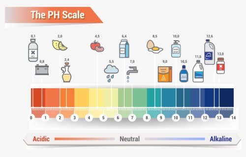 Transparent Ph Scale Clipart - Ph Scale Colors 1 14 , Free Transparent ...