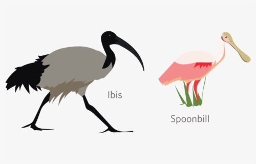 Transparent Gregarious Clipart - Gold Instagram Logo Png , Free ...