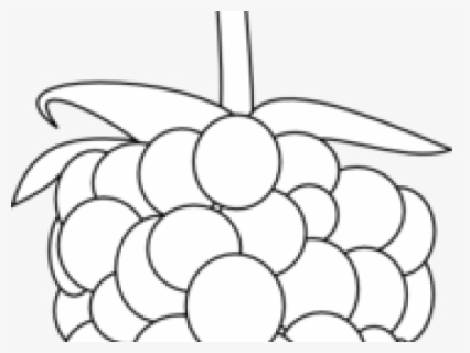 Free Raspberry Clip Art with No Background - ClipartKey