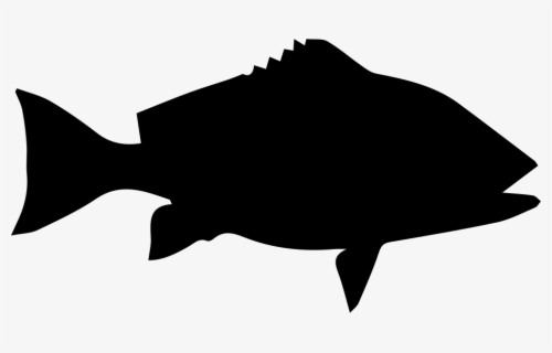 Fish Hog Snapper Shape - Silhouette Snapper , Free Transparent Clipart ...