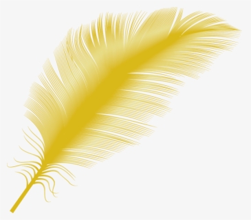 Gold Transparent Feather Png , Free Transparent Clipart - ClipartKey