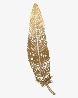 Gold Feather Png , Free Transparent Clipart - ClipartKey