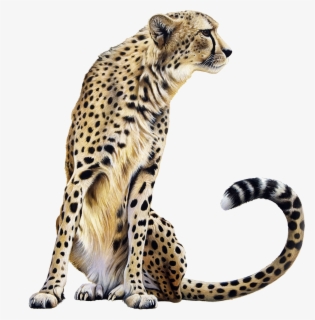 Transparent Cheetah Face Png - Tupac Shakur , Free Transparent Clipart ...