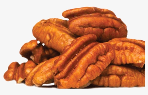 Transparent Pecan Png - Pecans Png , Free Transparent Clipart - ClipartKey