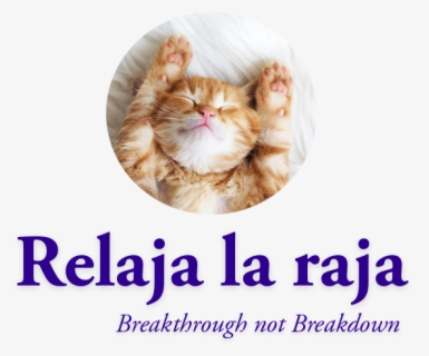 Clip Art Relaja La Raja Breakthrough - Cat Yawns , Free Transparent ...