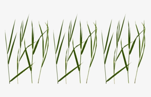 Download New Textures Billboard Grass - Grass Texture Unity Png ...