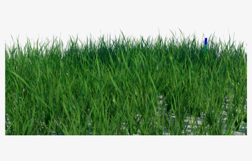 Download New Textures Billboard Grass - Grass Texture Unity Png ...