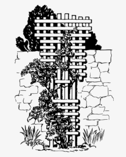 Trellis Clipart , Free Transparent Clipart - ClipartKey