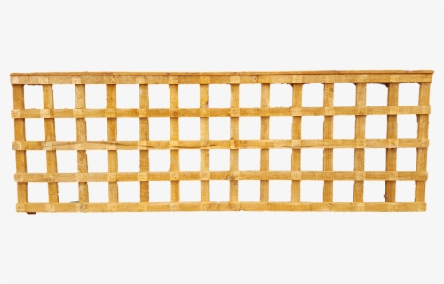 Garden Vector Top View - Tree Architecture Plan Png , Free Transparent ...