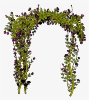 Vines Clipart Arch - Aesthetic Vaporwave Plants Png , Free Transparent ...