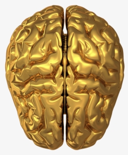 Gold Brain , Free Transparent Clipart - ClipartKey