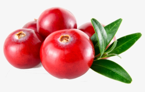 Cranberries Png - Cranberry Png , Free Transparent Clipart - ClipartKey