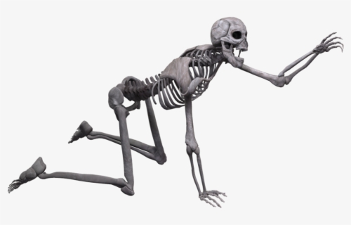 Transparent Running Skeleton Clipart - Skeleton In Pose Transparent ...
