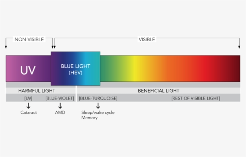 Download Transparent Electromagnetic Spectrum Clipart Radiation Waves