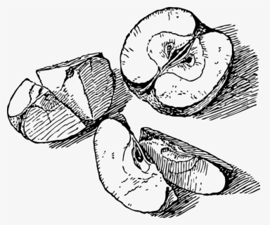 How To Draw Apple - Easy Drawings Of Apples , Free Transparent Clipart ...