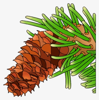 Minnesota State Tree - Cartoon Pine Cone Png , Free Transparent Clipart ...