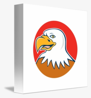 Eagle Head Png - Bald Eagle Head Png , Free Transparent Clipart ...