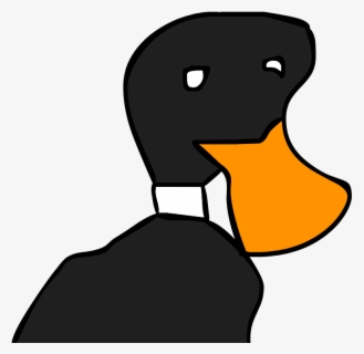 Neo Englands Y U Do Dis, Ned Moar Cans Pls, No More - Dolan Dafty ...