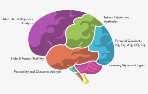 Multiple Intelligences Clipart - Ninja Girl Clipart , Free Transparent ...