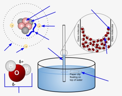 Properties Of Water Diagram , Free Transparent Clipart - ClipartKey