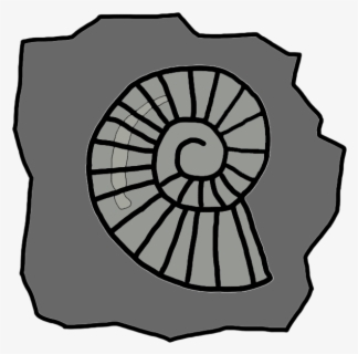 Vsco App Icon Png , Free Transparent Clipart - ClipartKey