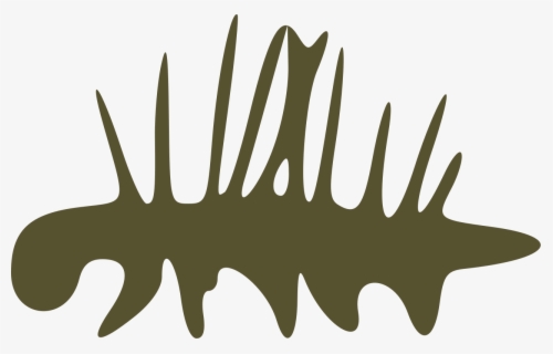 Cambrian Explosion Png , Free Transparent Clipart - ClipartKey