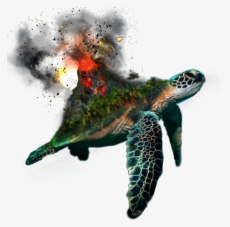 #turtle #volcano #eruption #lava #surrealism #surreal - Hawksbill Sea ...