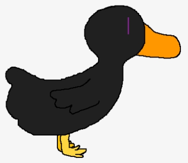 Transparent Quack Clipart - Duck , Free Transparent Clipart - ClipartKey