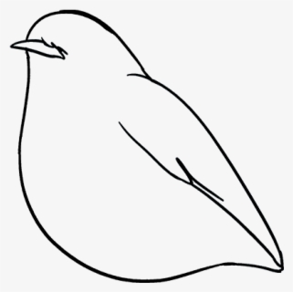 How To Draw Robin - Easy Robin Bird Drawing , Free Transparent Clipart ...
