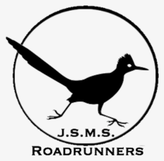 Roadrunner Clipart New Mexico - Road Runner , Free Transparent Clipart ...