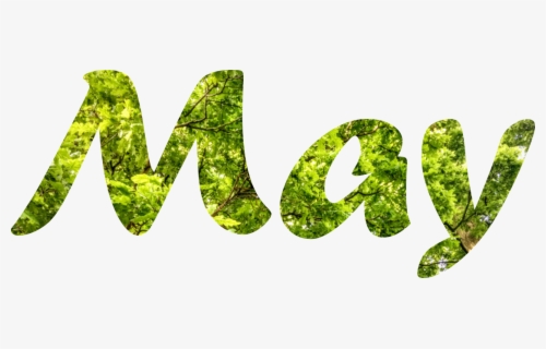 Clip Art Month Of May&clipart - May Clipart , Free Transparent Clipart ...