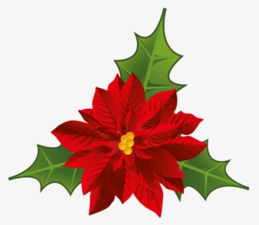 Poinsettia Flower Christmas Clip Art - Christmas Flower Png , Free ...
