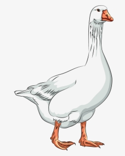 Free Geese Clip Art with No Background - ClipartKey