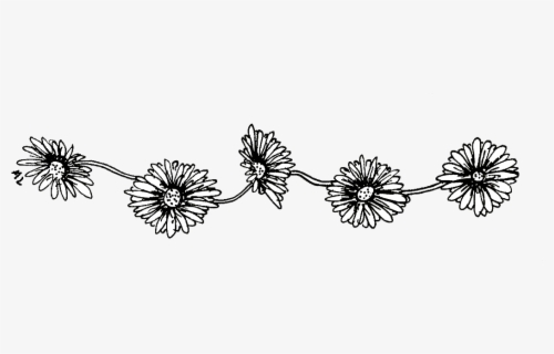 Drawing Common Daisy Daisy Chain - Daisy Chain Drawing , Free ...