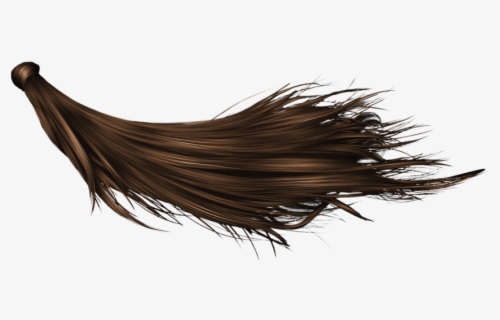 Download Transparent Messy Hair Png - Transparent Background Bob Hair ...
