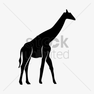 Giraffe Shadow Clipart Silhouette Shadow - Giraffe , Free Transparent ...