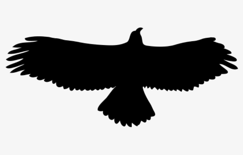 Eagle Clipart Shadow - Eagle Silhouette Clip Art , Free Transparent ...