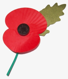 Poppy Flower Veterans Day - Remembrance Poppy Png , Free Transparent ...
