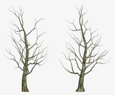Free Bare Trees Clip Art with No Background - ClipartKey