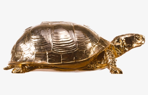 Download Box Turtle Png Picture - Gold Tortoise Sculpture , Free ...