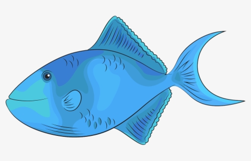 Blue Tang Png - Ocean Fish Transparent Background , Free Transparent ...