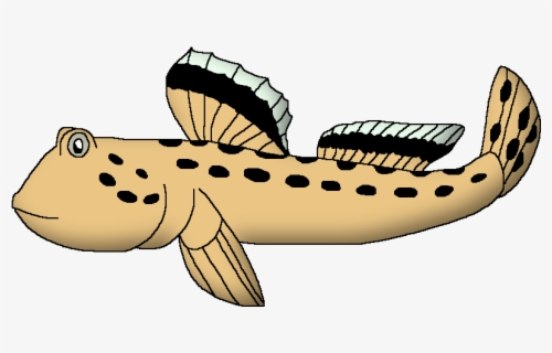 Wildlife Animal Pedia Wiki , Free Transparent Clipart - ClipartKey