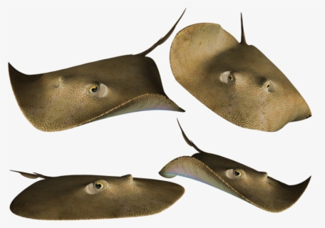 Stingray Png Stock By Roy3d P - Transparent Background Stingray Png ...