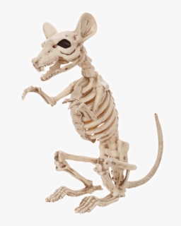 Crazy Bonez Skeleton Rat - Rats Skeleton , Free Transparent Clipart ...