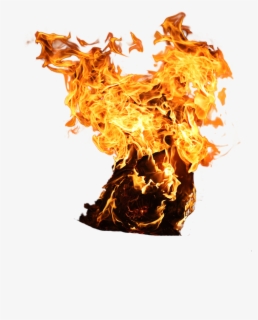 Fire Effect Gif Png , Free Transparent Clipart - ClipartKey