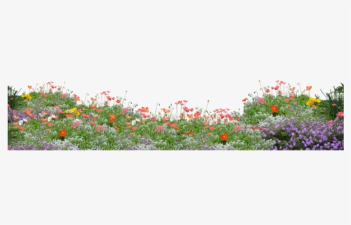#flowers #field #freetoedit - Transparent Flower Field Png , Free ...